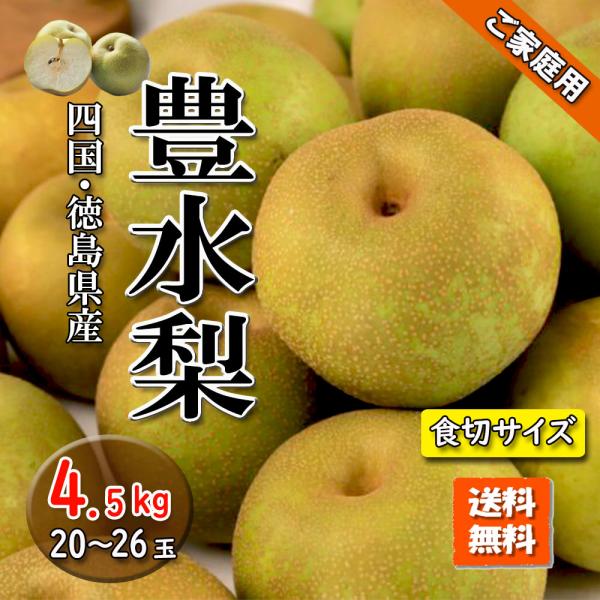【発売日：2018年08月07日】豊水 梨 徳島県産 豊水梨 夏の疲労回復に 食べ切りサイズ 約 4.5ｋg 送料無料※家庭用訳ありのため、葉傷、変形、黒点、不揃いなどがございます。暑い夏がまだまだ続きます。果物で水分補給がふさわしい季節で...