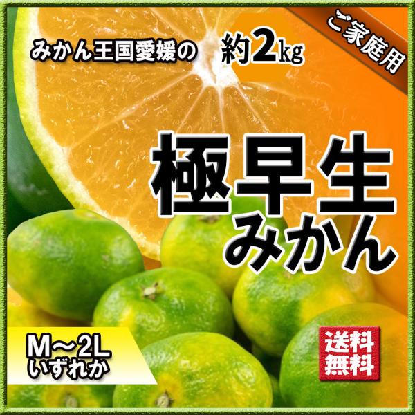 【発売日：2018年09月19日】極早生みかん 極早生 愛媛県産 超早出し みかん 約2ｋｇ M-2Ｌ 初物 新物 送料無料内容：極早生みかん原産地：愛媛県内容量：2kg　M〜2Ｌサイズ　ご家庭用みかん大国・愛媛の極早生みかん、始まりました...