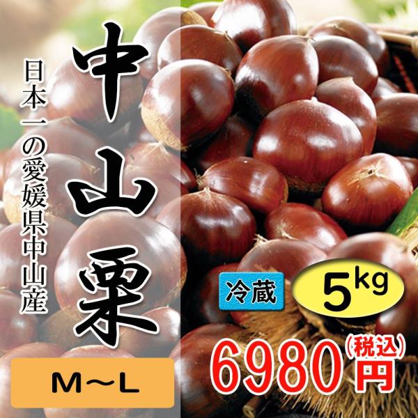 【発売日：2018年09月27日】中山栗 日本一の栗 大粒 甘くてホクホクです 送料無料※天候による影響を防ぐため、冷蔵便でお届けいたします。愛媛県産　日本一の称号を誇る 中山栗です！！日本一の理由は、その味と大玉その生産地である愛媛県の中...