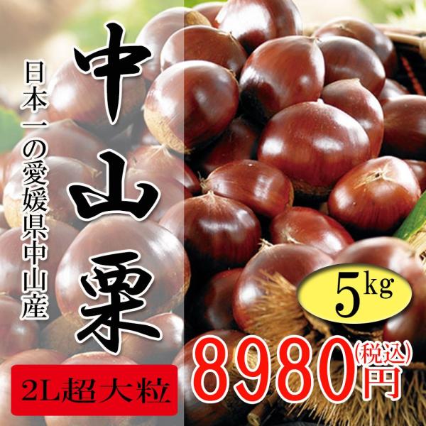 【発売日：2018年09月27日】中山栗 日本一の栗 大粒 甘くてホクホクです 送料無料愛媛県産　日本一の称号を誇る 中山栗です！！日本一の理由は、その味と大玉その生産地である愛媛県の中山町は、そのほとんどが中山間地であり、栗栽培がされてい...