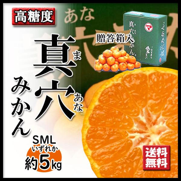 予約販売開始！みかん 真穴みかん 贈答 お歳暮 真穴 約5ｋｇ S M L いずれか 送料無料※10月下旬より入荷次第順次発送となります。※贈答品ですが、10月入荷分（初期）は真穴のシールがついておりません。　11月よりシールがついてくるも...