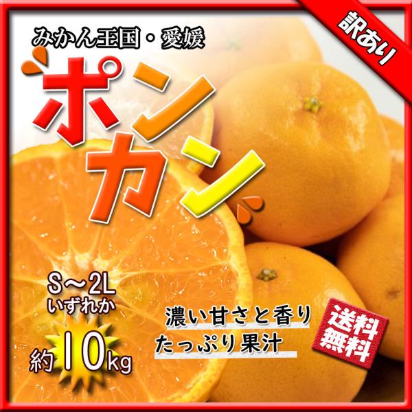 【発売日：2019年01月10日】ぽんかん 箱買い ポンカン 愛媛県産 約10ｋｇ 訳あり 送料無料※こちらは訳あり品です。葉傷、不揃い、変形、黒点、浮き皮などがございます。ジュースにも最適の果汁の多さと、さわやかな香り。日本のほぼ8割のぽ...