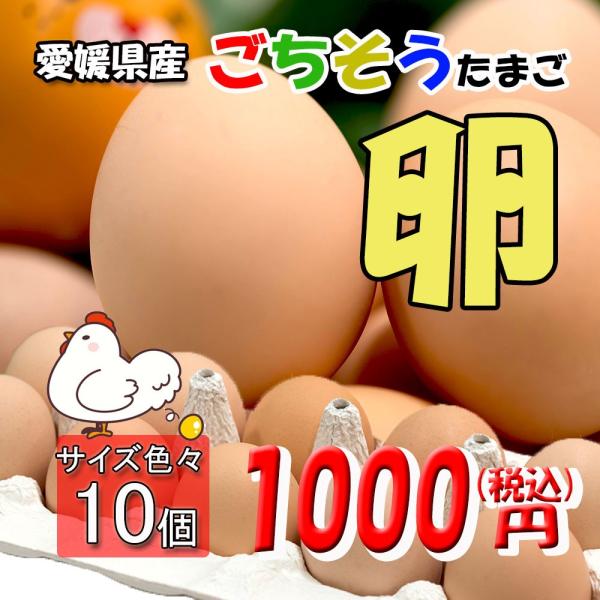 【発売日：2018年07月17日】たまご 鶏卵 玉子 卵 タマゴ ごちそう卵 こだわりの濃厚 うまいたまごです。 10個 送料無料野菜ソムリエプロ厳選、確かな舌で選んだ卵です。健康でストレスの無いニワトリから生まれた卵を全国の方に。完全管理...