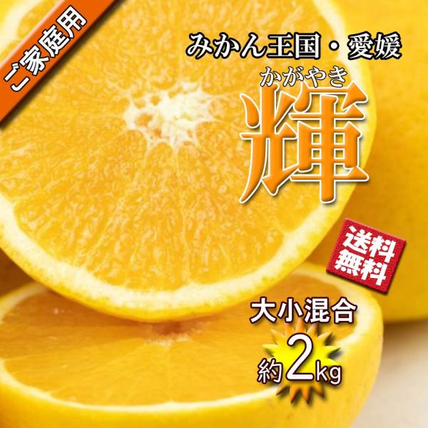 【発売日：2019年01月18日】輝 サマー清見 家庭用 清見 かがやき 箱買い 星タンゴール 輝タンゴール清見みかん 希少品種 愛媛県産 2ｋｇ 送料無料※大変希少な品種ですので、数量限定販売です。是非お試しください。清見タンゴールの枝変...