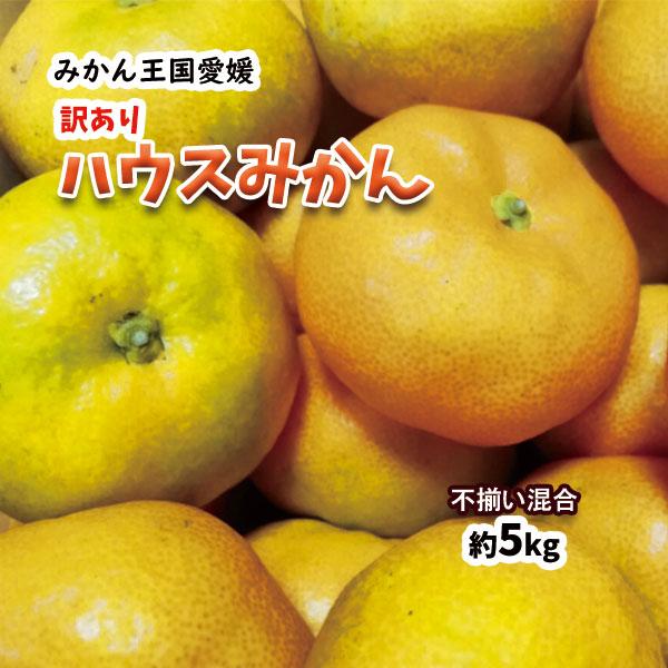 【発売日：2018年07月14日】※訳あり商品です。葉傷、皮の浮き、色むら、変形などが顕著にみられます。みかん王国・愛媛から自信作のハウスみかん。ハウスみかんはその名の通り、ハウス栽培のみかん。冬の露地みかんと同じ、温州みかんですが、ハウス...