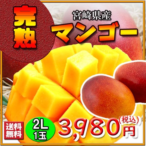 マンゴー 宮崎県産 完熟 完熟マンゴー 2Ｌ 1玉 送料無料宮崎県産の「アップルマンゴー」。リンゴのように真っ赤な外見と、香り高く甘みと酸味がベストバランスのマンゴーです。某県知事さんのＰＲも記憶に新しいですね。その味はおっしゃる通りの自信...