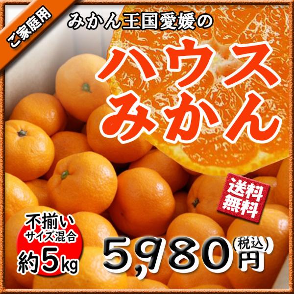 【発売日：2023年06月17日】みかん王国・愛媛から自信作のハウスみかん　ハウスみかんはその名の通り、ハウス栽培のみかん。冬の露地みかんと同じ、温州みかんですが、ハウス施設の中でみかんを熟す環境を作って栽培しております。夏の暑さにさわやか...