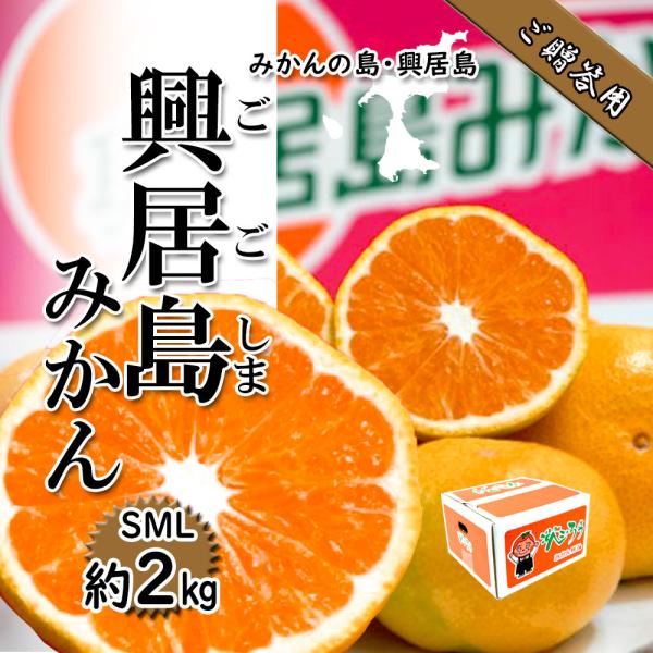 みかん お歳暮 贈答 興居島みかん 興居島 贈答用 ＳＭＬ いずれか 約2kg 送料無料 みかんの島内容：興居島みかん ご贈答用内容量：2kg ＳＭＬ いずれか生産地：愛媛県興居島※白無地箱入り年末のご挨拶に、みかんの島で知られる 興居島の...