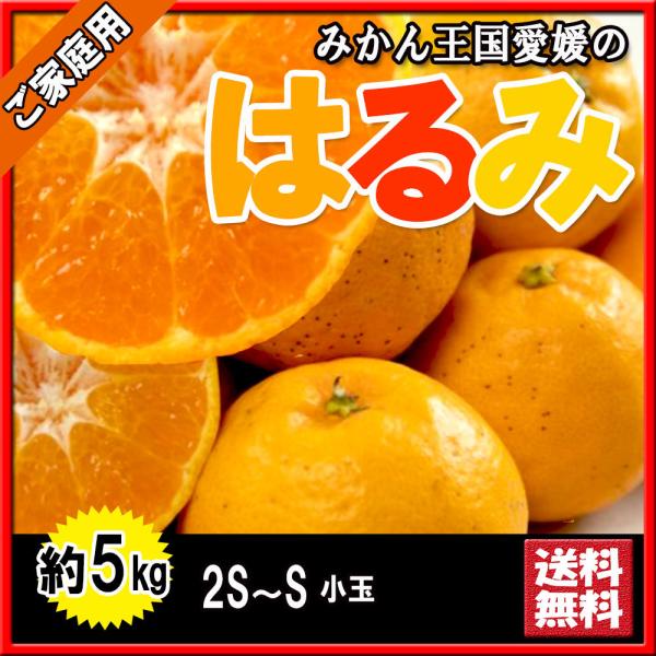 はるみ 訳あり みかん 箱買い 愛媛県産 送料無料 約10ｋｇ 2Ｓ〜3L いずれか「清見」と「ポンカン」の交配でうまれた「はるみ」。同じ配合方法では、「デコポン」がありますが、はるみとデコポンは兄弟姉妹の関係。市場にほとんど出回らない希少...