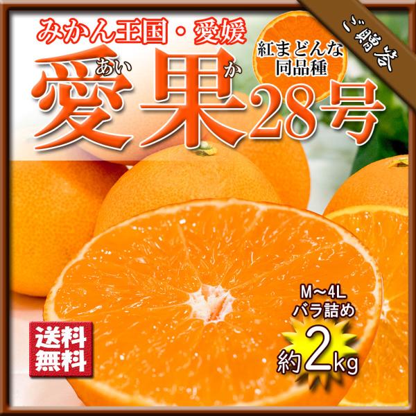 愛果28号 紅まどんな 贈答 御歳暮 みかん 愛媛県産 Ｌ〜4Ｌ バラ詰め 約2ｋｇ バラ詰め 愛媛県 送料無料愛果28号って？家庭用紅まどんなという枠組みです品種名は「愛媛果試第28号」で、愛媛県のオリジナル品種です。「媛まどんな」は、の...