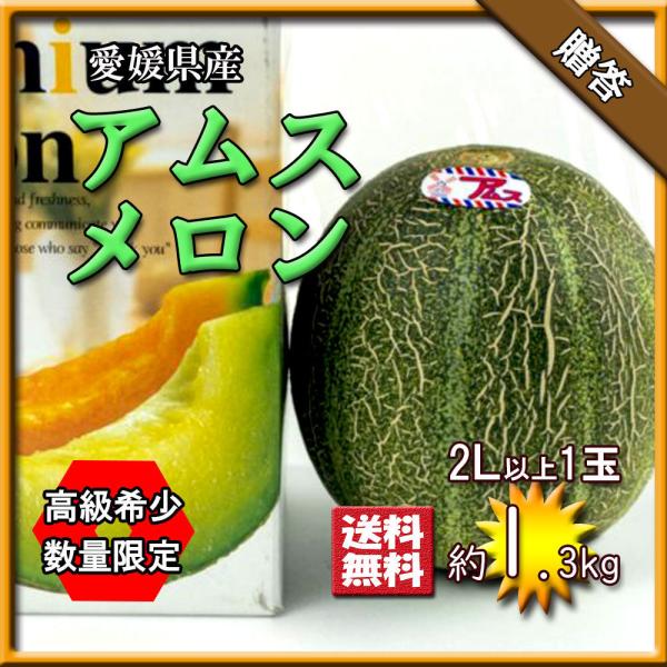 アムスメロン メロン 愛媛県産 ネット系 ハウスメロン 贈答 化粧箱入 2Ｌ以上 2玉 約2.6ｋｇ 送料無料 アムスメロンは、ネット系ハウスメロンですが、網目の模様が西瓜のような部分があるのが特徴です。果肉は薄緑色。果汁もたっぷりなのが特...