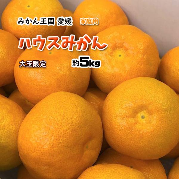 ハウスみかん 家庭用 大玉 2Ｌ以上 ハウスミカン 温州みかん 愛媛県産 みかん 送料無料 約5ｋｇ※こちらは訳ありです。浮皮・葉傷・変形などが主にみられます。ご購入前にご了承ください。格安限定販売です。みかん王国・愛媛から自信作のハウスみ...