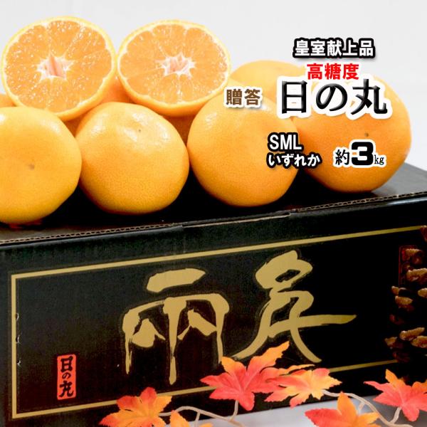 みかん お歳暮 贈答 日の丸みかん 愛媛県産 日の丸 愛媛みかん 3ｋｇ ＳＭＬいずれか愛媛県最高級ブランド、「日の丸みかん」の販売開始！！愛媛県八幡浜市の向灘地区で収穫される、秀逸のみかんです。急斜面に丁寧に積まれた水はけのよい石積の段々...