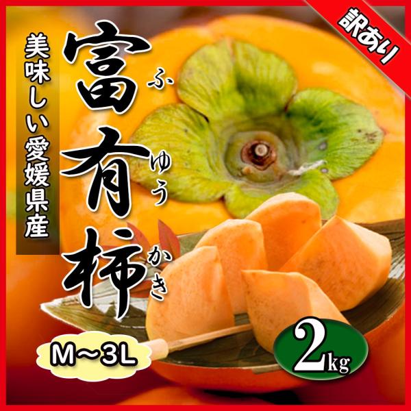 柿 かき 富有柿 ふゆうかき 愛媛県産 送料無料さくさくとしてすっきり甘い柿の代表格・富有柿です。愛媛県産はみかん同様、甘みが深く、和製マンゴーの名、そのままに。完熟させるととろっとろの甘い実も楽しめます。旬の時期は11月から12月。下手を...