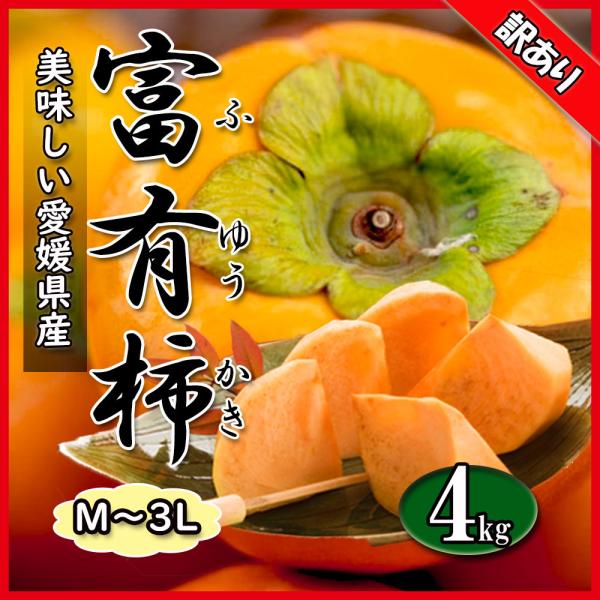 【発売日：2018年11月07日】柿 かき 富有柿 ふゆうかき 愛媛県産 送料無料さくさくとしてすっきり甘い柿の代表格・富有柿です。愛媛県産はみかん同様、甘みが深く、和製マンゴーの名、そのままに。完熟させるととろっとろの甘い実も楽しめます。...