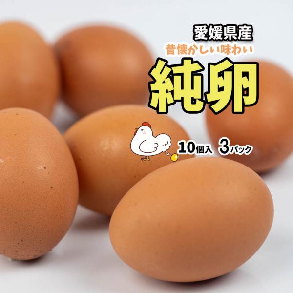 たまご 純卵 愛媛県 純たまご 昔懐かしい味わい 卵 まとめ買い 10個入 3パックまろやかで昔なつかしい美味しさ。木酢精製液・ヨモギゼオライト・海藻などが主成分の地養素をエサに添加することで、甘味やコクが強く、生臭さがないたまごに仕上がり...