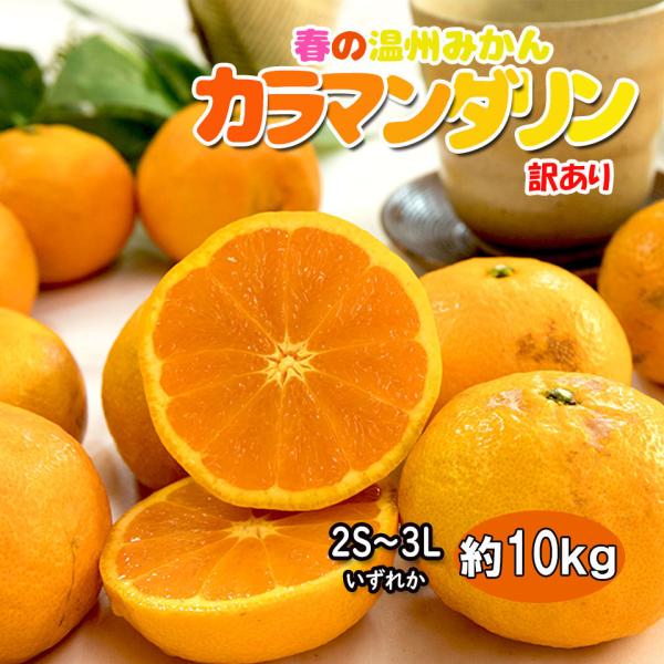 【発売日：2018年05月04日】カラマンダリン 温州みかん 春みかん 愛媛県産 不揃い 混合 約 10ｋｇ 訳あり キズ多め 送料無料※訳あり商品です。葉傷、変形、黒点などがございます。柑橘の中で、樹になっている期間が一番長い「カラマンダ...