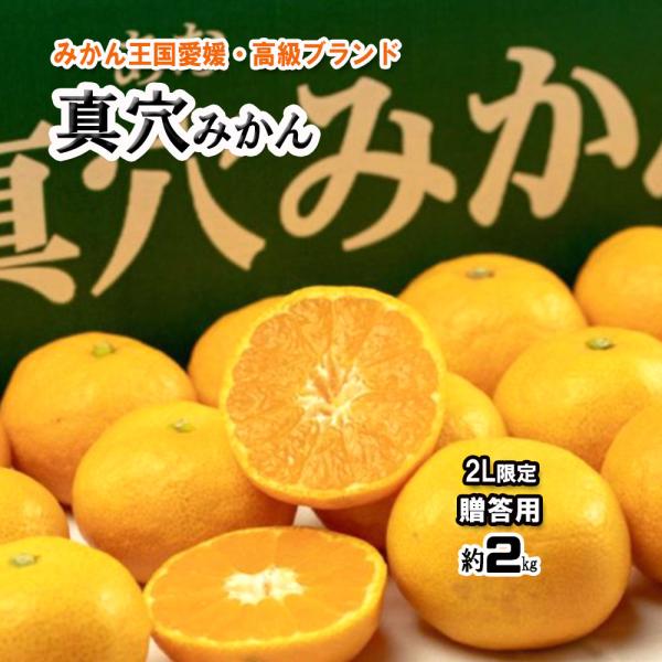 みかん 真穴みかん 贈答 お歳暮 真穴 約2ｋｇ 2 L 送料無料※贈答品種ですが、10月から11月入荷分（初期）は真穴のシールがついておりません。御歳暮シーズンよりシールがついてくるものが入りますが、弊社でまとめて仕入れていますので、シー...