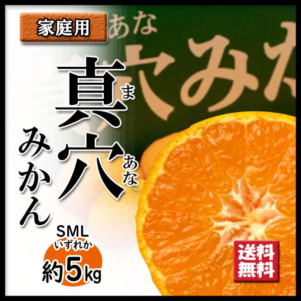 真穴みかん 家庭用 みかん 真穴 約5ｋｇ SML いずれか 送料無料※家庭用商品は真穴シールがつきません。内容：真穴みかん原産地：愛媛県真穴地区内容量：5kg SMLいずれか 家庭用ファンがが多くお問い合わせも多数いただいておりました、真...