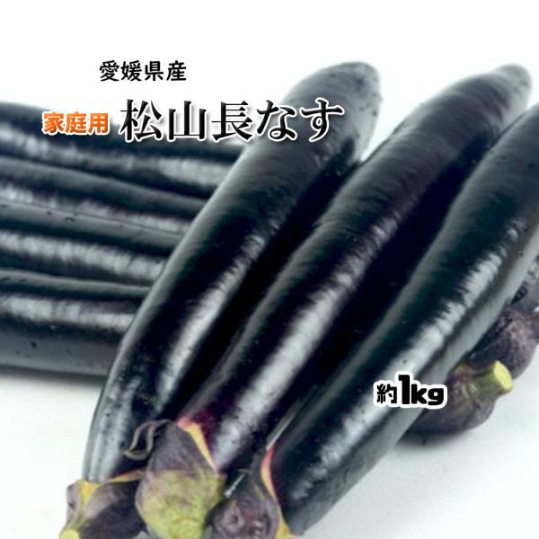 長なす 家庭用 松山長なす 茄子 なす ナス 長茄子 長ナス 愛媛県産 送料無料 約4ｋｇ煮てよし、漬けてよし、焼いても揚げてもよし！松山城を望む地域で栽培される「松山長なす」です。訳ありですので、葉傷があったり、変形がありますが、ご自宅用...