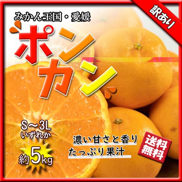 ぽんかん 箱買い ポンカン 愛媛県産 約5ｋｇ ご家庭用 送料無料ジュースにも最適の果汁の多さと、さわやかな香り。日本のほぼ8割のぽんかんは愛媛県産という、ぽんかんの産地。味の熟成にどこよりもこだわったポンカンをお送りいたします。内容：ぽん...