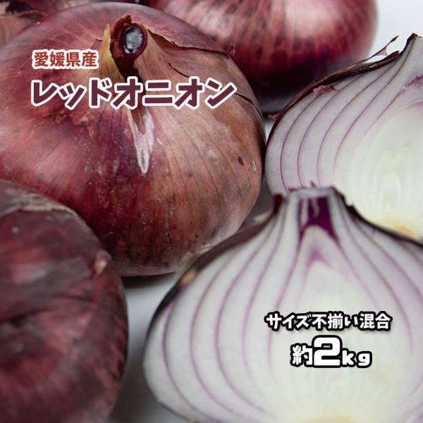 【発売日：2018年07月17日】品種：レッドオニオン　愛媛県産状態：家庭用（大きさの不揃い・形の変形があります。味は最高品種）数量：約2kg(8個前後）レッドオニオンの赤身は貴重な栄養素、アントシアニンの色。抗酸化作用に優れ、身体を整える...