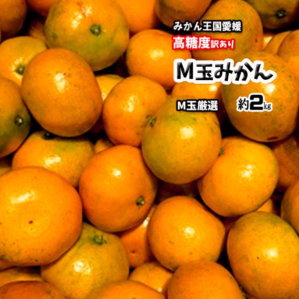 【発売日：2023年10月25日】みかん 訳あり 箱買い 高糖度みかん 愛媛みかん Mサイズ限定 約2ｋｇ ご家庭用 送料無料もっとも市場価値の高いMサイズ限定の販売ページです。内容：愛媛みかん原産地：愛媛県内容量：2kg Mサイズ糖度があ...