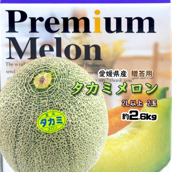 タカミメロン メロン 愛媛県産 ネット系 ハウスメロン 贈答 化粧箱入 2Ｌ以上 2玉 約2.6ｋｇ 送料無料 タカミメロンは、果肉が緑色の親しみやすいネット系ハウスメロンです。甘みが強く香りも良い品種。漢字で「貴味メロン」と書かれることも...