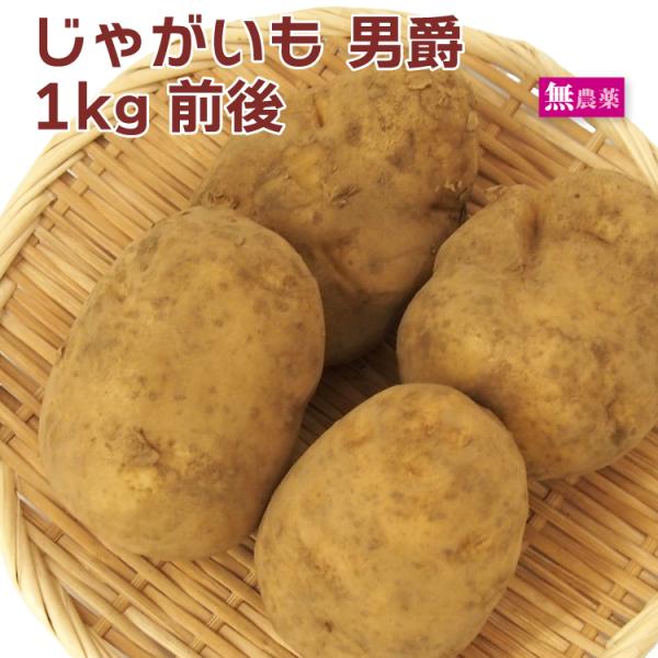 原材料：じゃがいも　男爵　1kg前後　産地：北海道安心な無農薬栽培です。ホクホクじゃがいもの代表格で、丸ごと茹でてからお使いいただくと、よりホックリ感が味わえます。