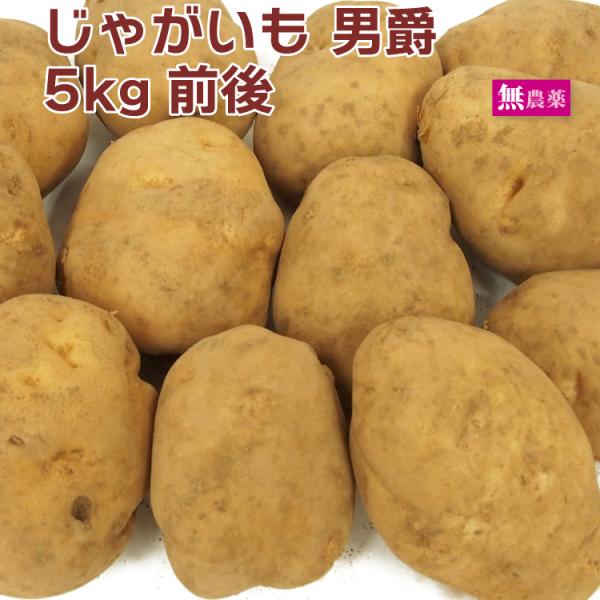 じゃがいも　5kg前後　無農薬　送料込