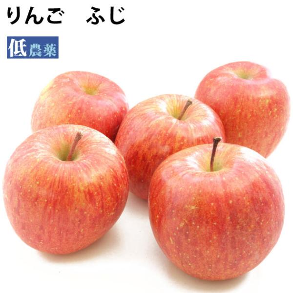 りんご ふじ 青森県産 低農薬栽培 3kg前後 送料込