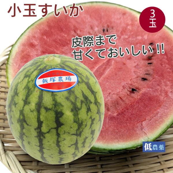 小玉スイカ　新潟：飯塚農園　数量：3玉新潟・南魚沼の飯塚さんが、自家製の安心な堆肥をたっぷりと使って育てました。小玉すいかは甘くないというイメージを払しょくする濃い甘みがあり、皮際までおいしく召し上がれます。