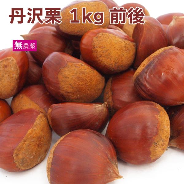 丹沢栗 1kg前後 産地：熊本　無農薬栽培