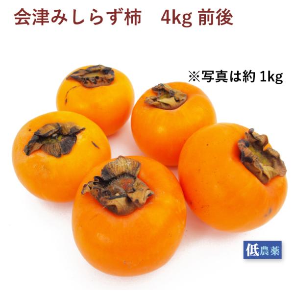 原材料：みしらず柿　数量：4kg前後　低農薬生産者：福島　フルーツ石井 商品説明：福島会津特産の、渋柿を渋抜きした柿です。昔から、皇室への献上品としても珍重されております。トロっとした上品な甘さをお楽しみください。