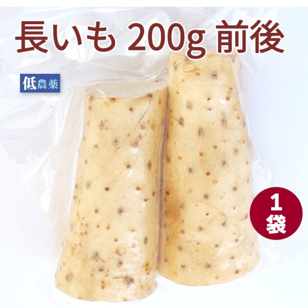 長いも200ｇ　青森県産　低農薬栽培
