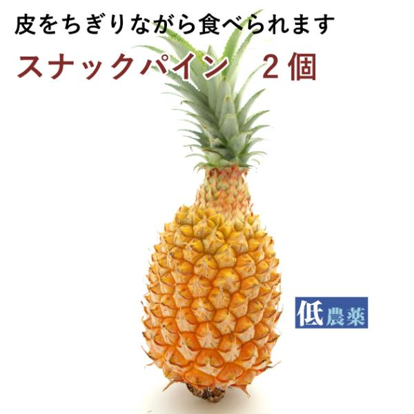 スナックパイン 沖縄県産　低農薬栽培 2個 送料込