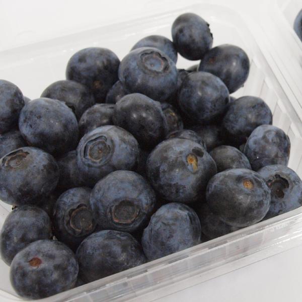 ブルーベリー 無農薬栽培 200g 産地：青森 送料別