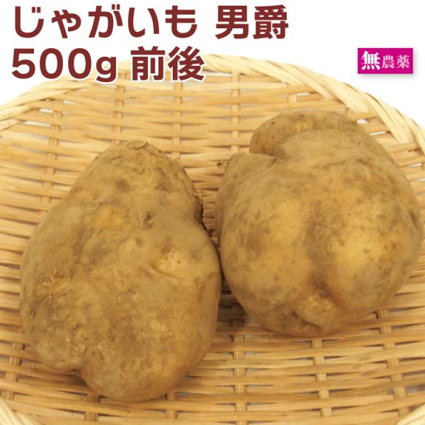 原材料：じゃがいも　男爵　500g前後　産地：北海道安心な無農薬栽培です。ホクホクじゃがいもの代表格で、丸ごと茹でてからお使いいただくと、よりホックリ感が味わえます。