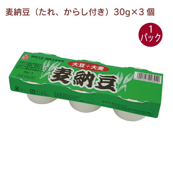 カジノヤ 麦納豆（たれ、からし付き） 30g×3 1パック無添加 国産 麦納豆 たれ からし カジノヤ