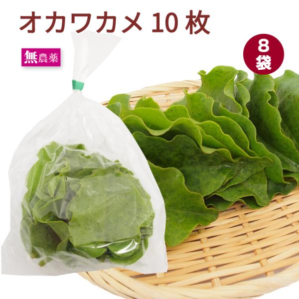オカワカメ（雲南百薬）10枚　数量：8袋　無農薬　産地：栃木