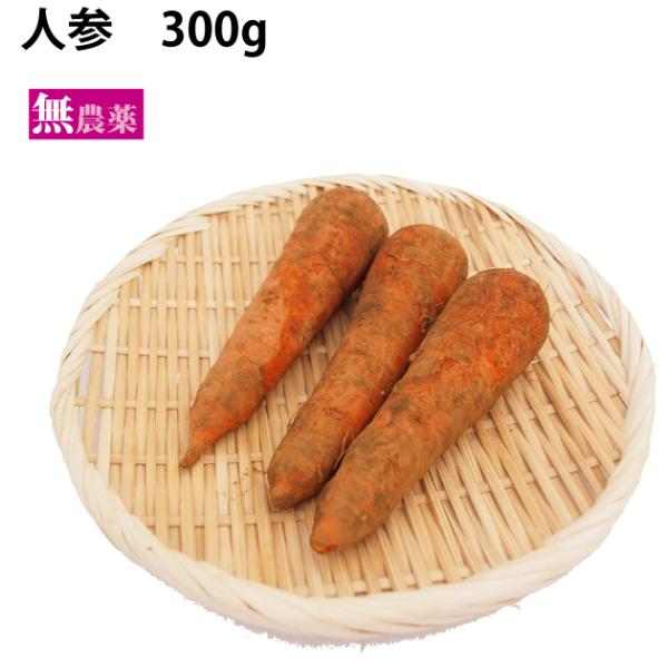 無農薬栽培　人参　300g前後（2〜3本）　産地：千葉常備しておきたい野菜