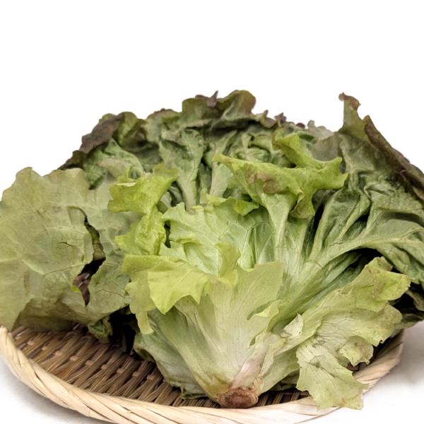 サニーレタス 1袋  無農薬 茨城産 送料別