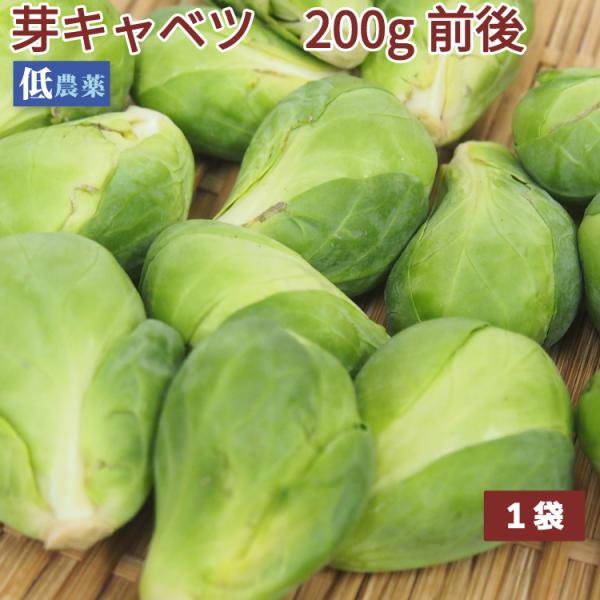 国産 低農薬 メキャベツ サラダ からし和え 送料別