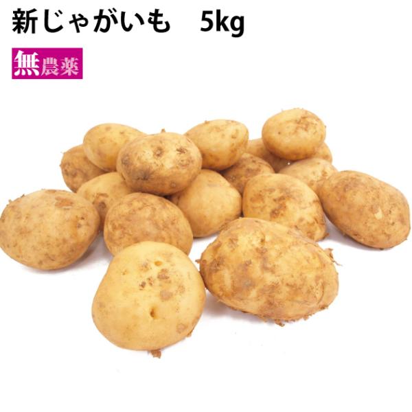 原材料：新じゃがいも　5kg前後　産地：鹿児島※入荷により大きさにバラつきがあります。