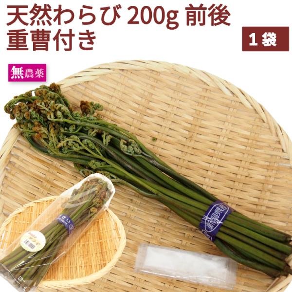天然わらび  200g×1袋 重曹付き 新潟産国産 無農薬 山菜 ワラビ 蕨