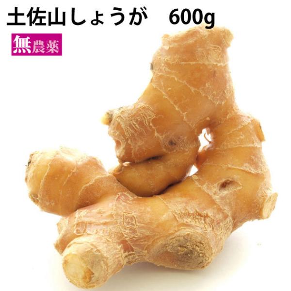 原材料：しょうが（無農薬栽培）　数量：600ｇ　生産者：高知　夢山地とさやま開発公社香りのいい生姜です。
