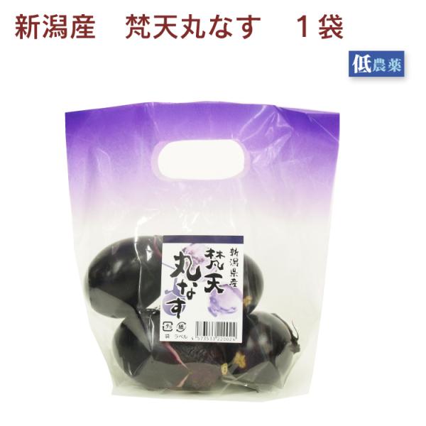 ぼんてん丸なす　1袋　低農薬栽培　産地：新潟　送料別