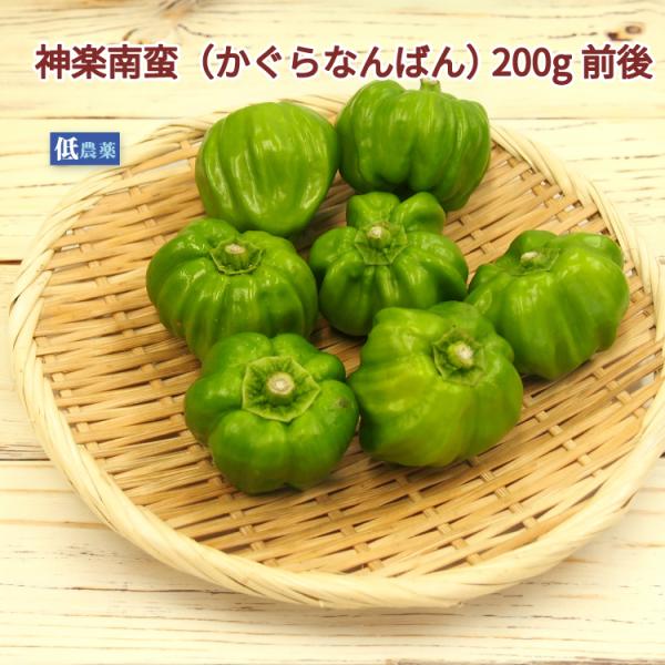 神楽なんばん　100g前後　神楽南蛮　かぐらなんばん　新潟の伝統野菜