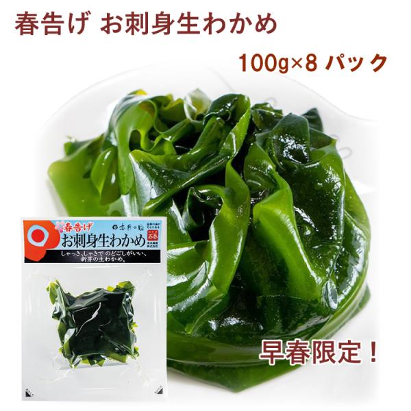 【季節限定】末永海産 春告げお刺身生わかめ 100g 8袋