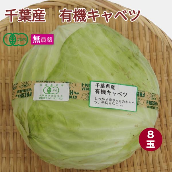 有機キャベツ　8玉　無農薬栽培　産地：千葉<br>有機栽培のキャベツです。<br>しっかりとした歯ざわりのキャベツです
